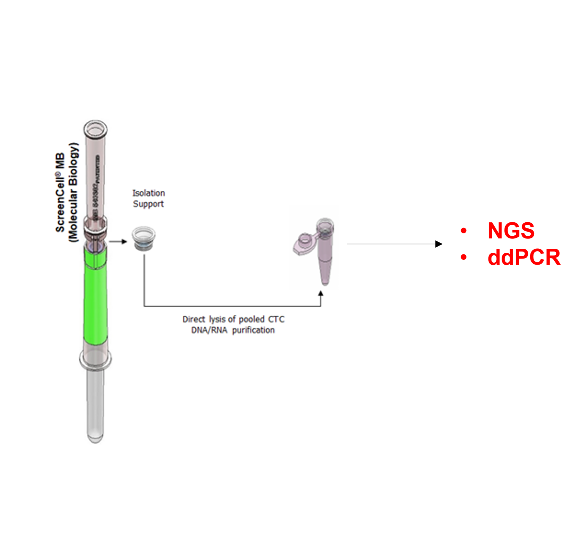 Biologie moléculaire - ScreenCell