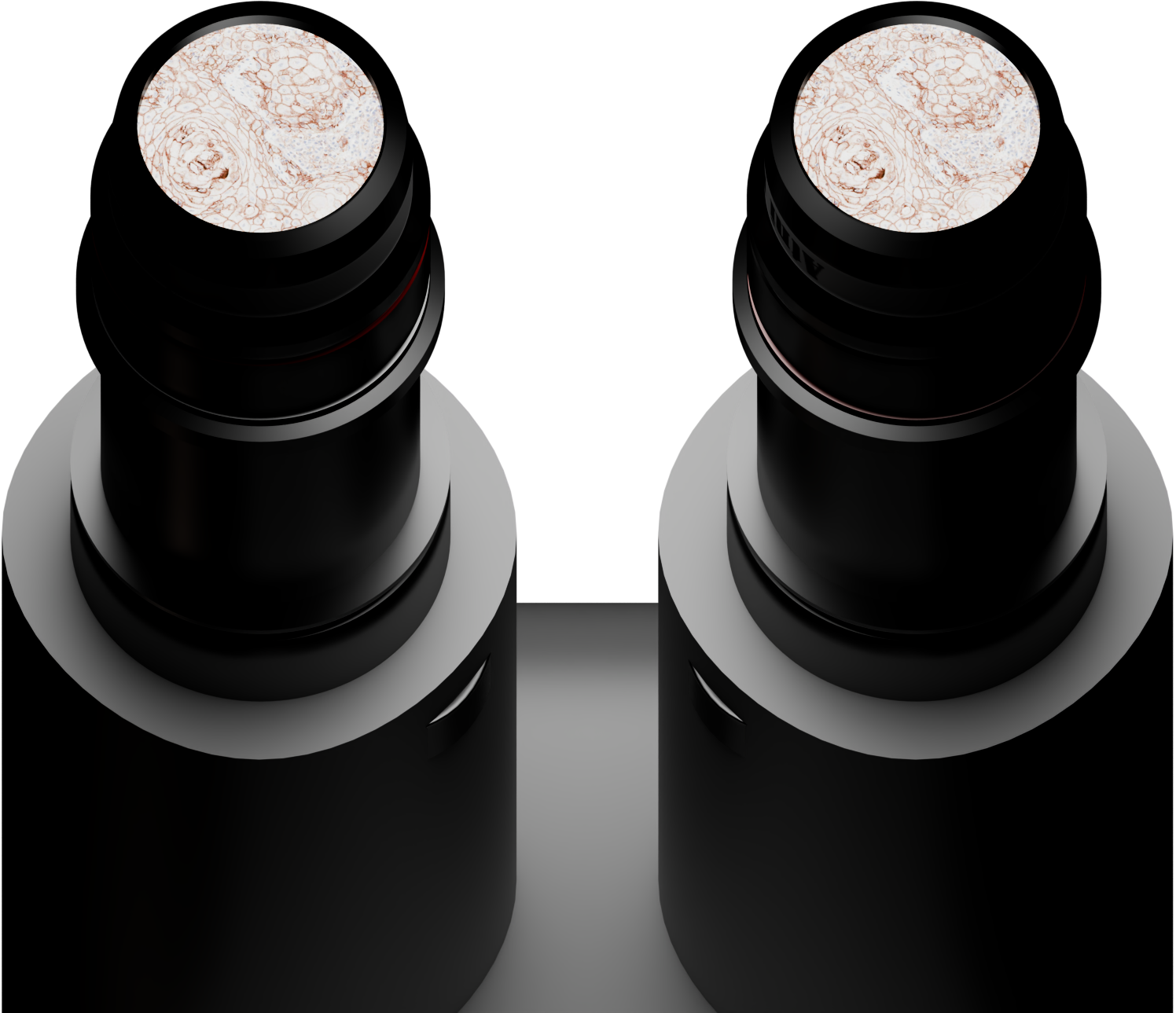 Circulating Tumor Cells Analysis | ScreenCell®